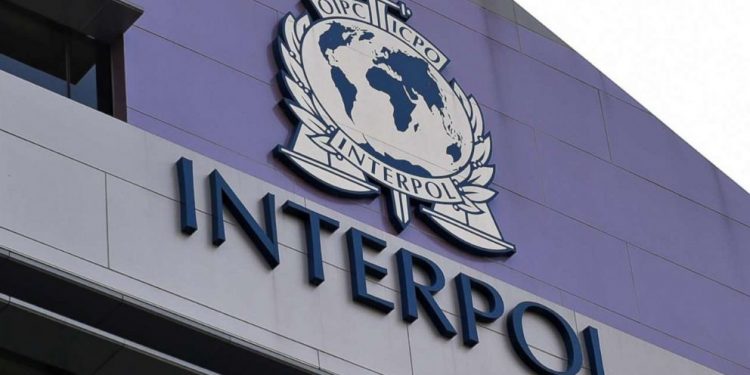 INTERPOL Declares 14 Nigerians Wanted (See Full List) – The Next Edition